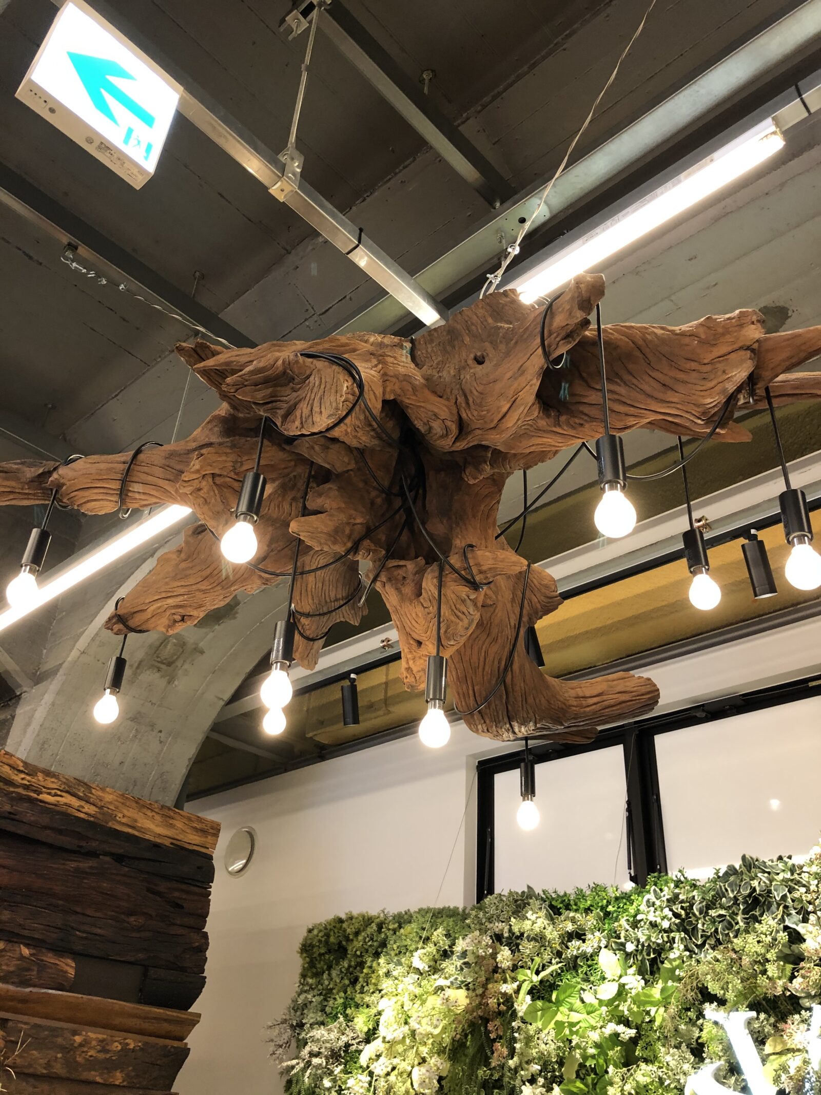 WORLDDECORS - 株式会社渋谷（SHIBUTANI&CO.）